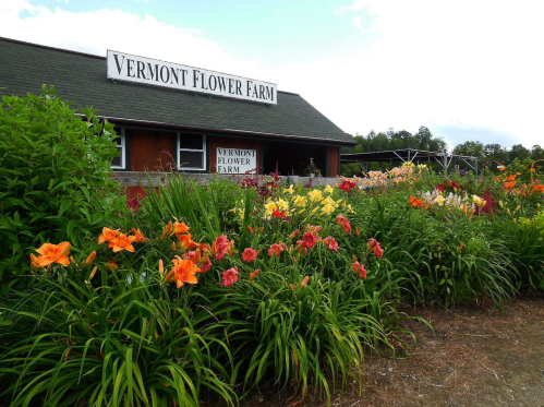 The 14 Best Things To Do In Vermont In Spring