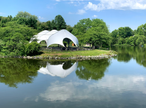 The 15 Best Things To Do In Maryland In Spring