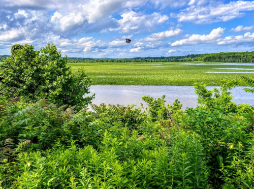 The 15 Best Things To Do In Maryland In Spring