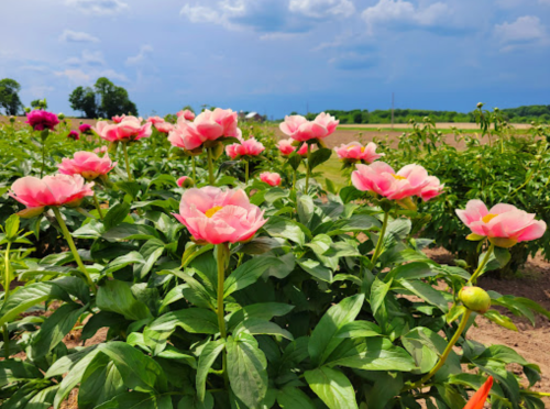 The 15 Best Things To Do In Wisconsin In Spring