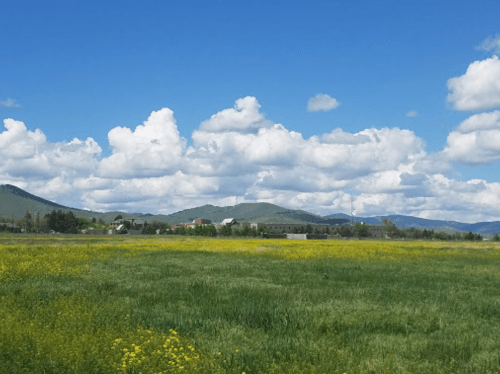 The 15 Best Things To Do In Montana In Spring