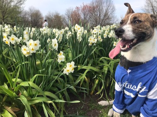 The 15 Best Things To Do In Kentucky In Spring