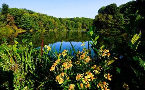 The 12 Best Things To Do In West Virginia In Spring