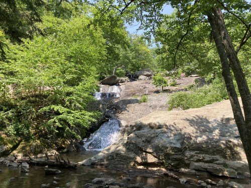 The 15 Best Things To Do In Maryland In Spring