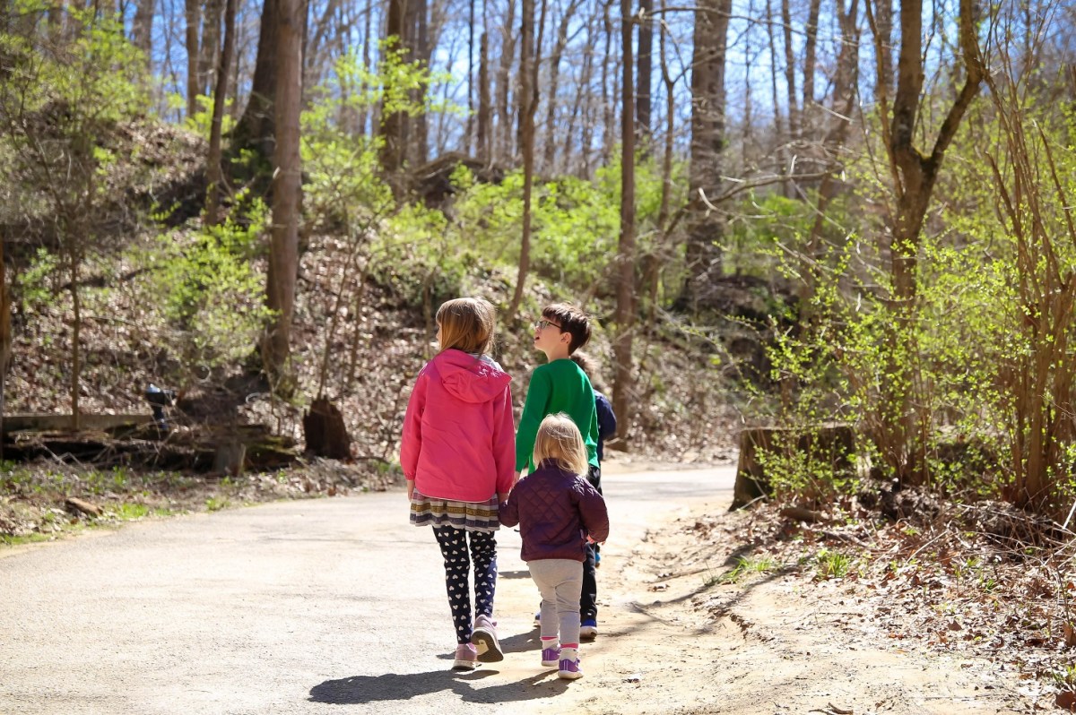 Adventurous Hike in Cincinnati, OH: Trillium Trail and Moon Valley Loop ...