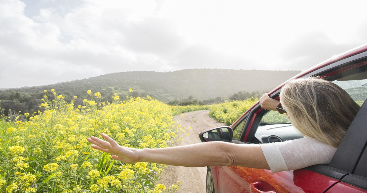 Ultimate Spring Adventure: Flower Road Trip In Arkansas