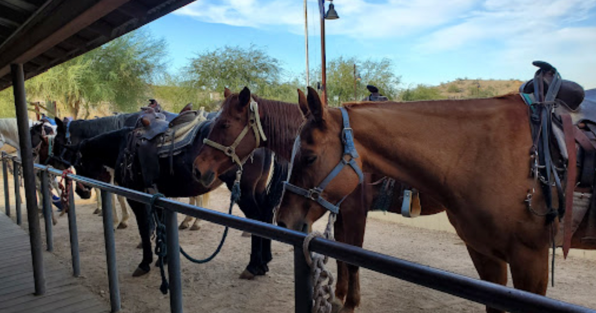 Arizona-Horses: Horseback Riding Adventure In Arizona