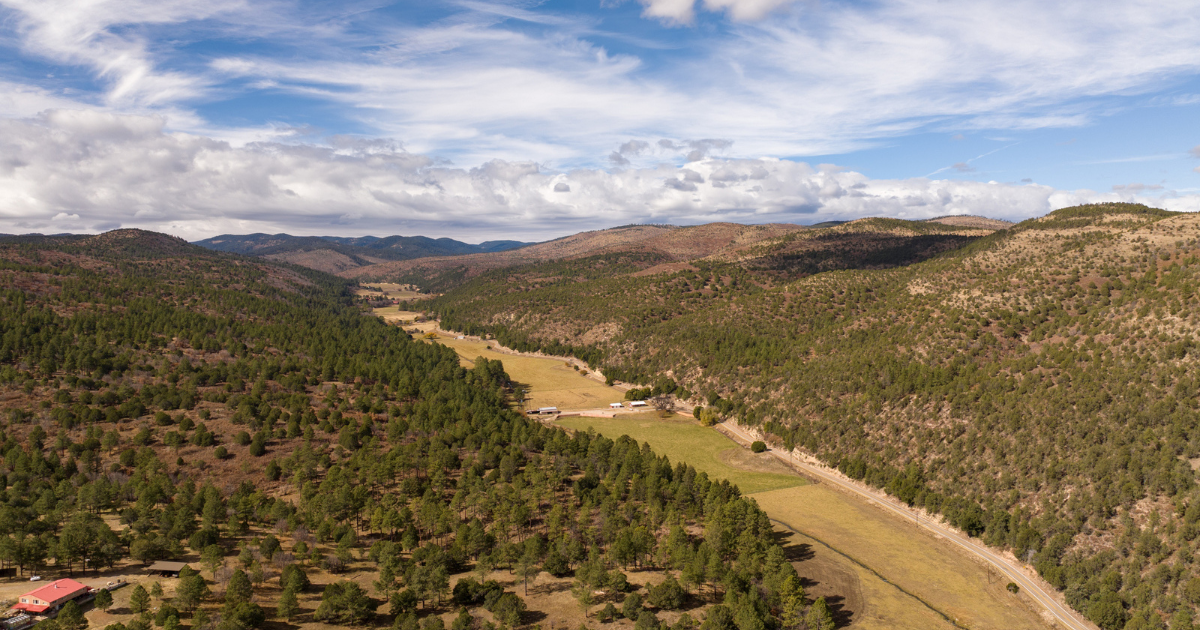 The Gila Wilderness In New Mexico Just Turned 100 Years Old And It’s ...