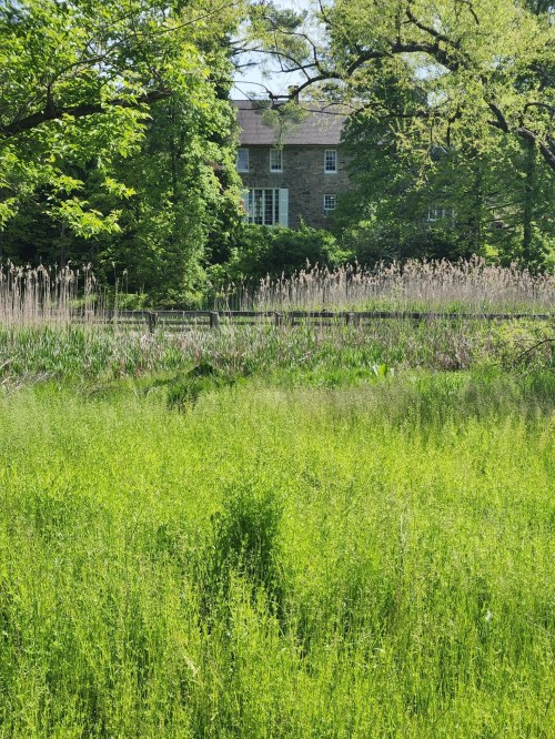 The 15 Best Things To Do In Maryland In Spring