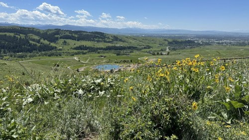 The 15 Best Things To Do In Montana In Spring