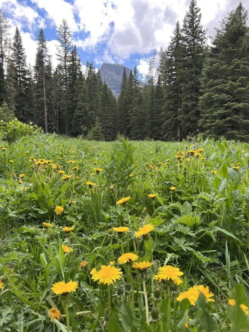 The 15 Best Things To Do In Montana In Spring