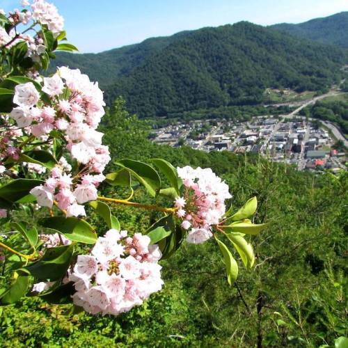The 15 Best Things To Do In Kentucky In Spring