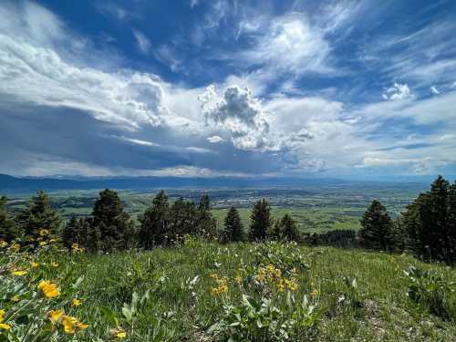 The 15 Best Things To Do In Montana In Spring