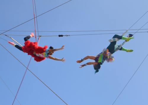 Enjoy A High-Flying Adventure At Santa Monica Trapeze School