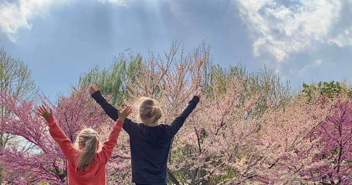 The 15 Best Things To Do In Kentucky In Spring