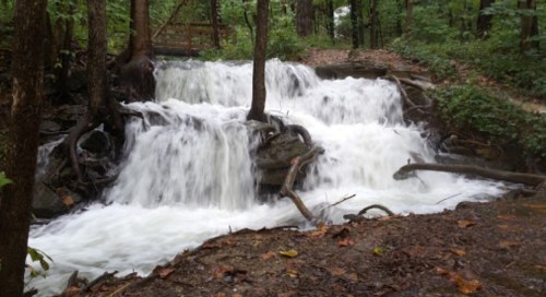 Best Waterfalls in Missouri: 14 Local Favorites & Hidden Gems