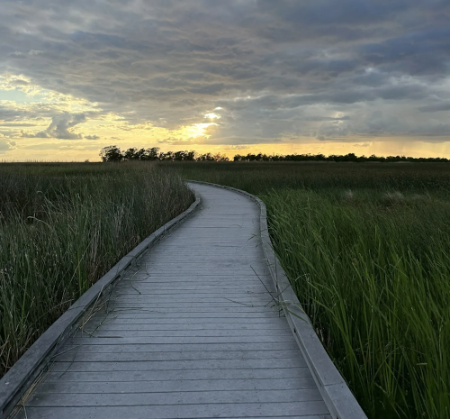 Exploring The Sabine National Wildlife Refuge In Louisiana