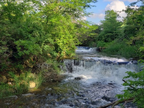 Best Waterfalls in Iowa: 12 Local Favorites & Hidden Gems