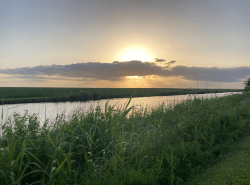 Exploring The Sabine National Wildlife Refuge In Louisiana