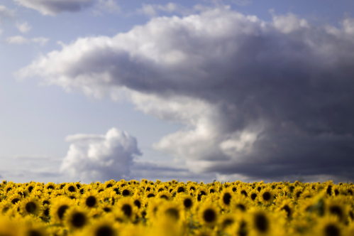 11 Best Day Trips in Massachusetts