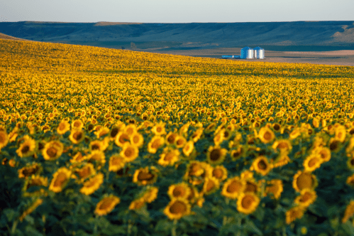 Dunseith, North Dakota Is One Of The State's Best Towns