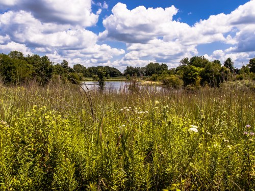 There Are Now 300 Nature Preserves In Indiana Worth Visiting