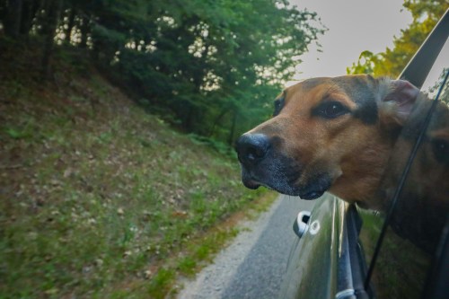 The Best Rest Stop In Michigan Has Incredible Water Views