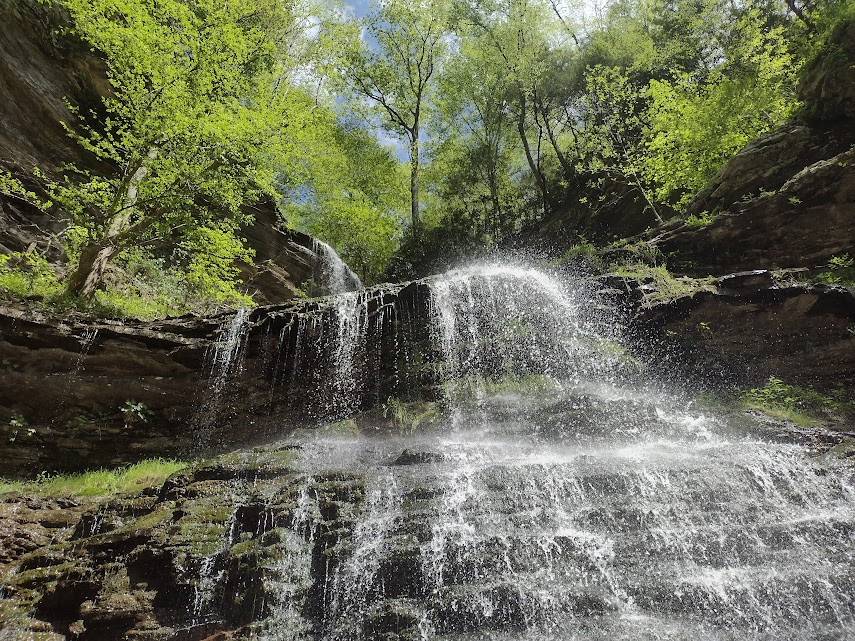 Cathedral Falls: The Tallest, Easy Access Waterfall In West Virginia