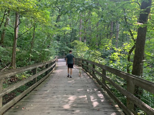 The Saunders-Monticello Trail In Charlottesville Is A Must