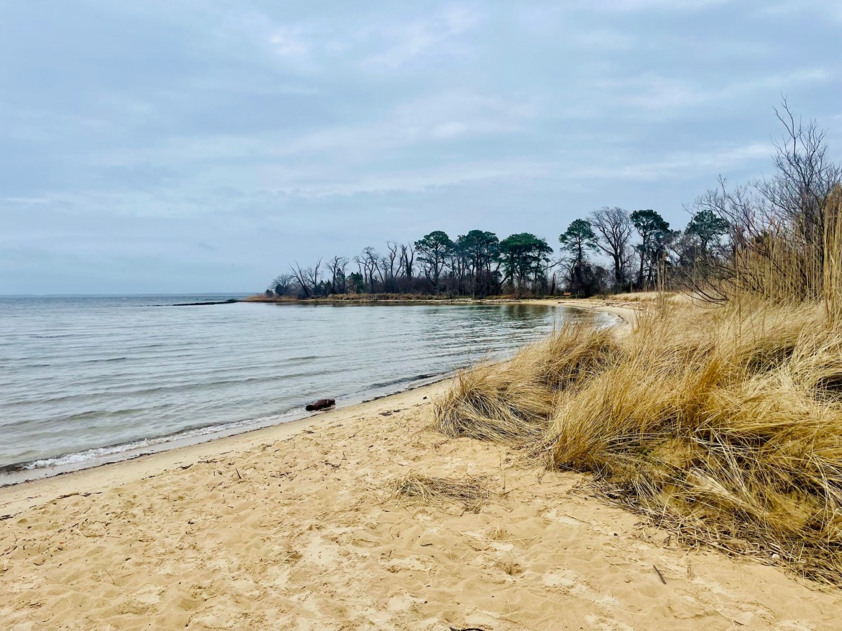 Ferry Point Park Overlooks Maryland's Chesapeake Bay