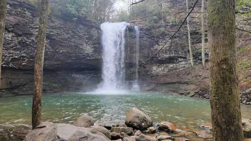 Explore North Georgia's Best Hiking Trails on a Scenic Road Trip