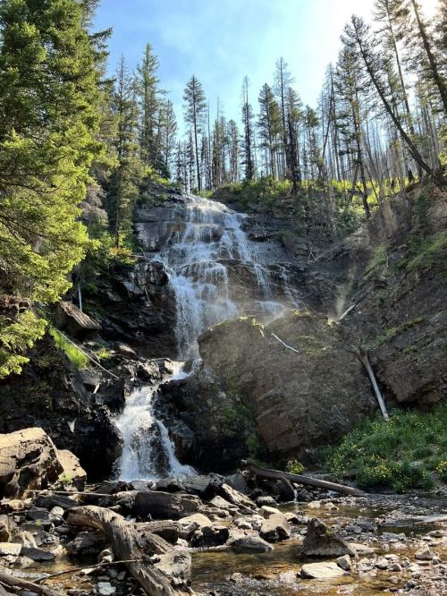 Best Waterfalls in Montana: 15 Local Favorites & Hidden Gems