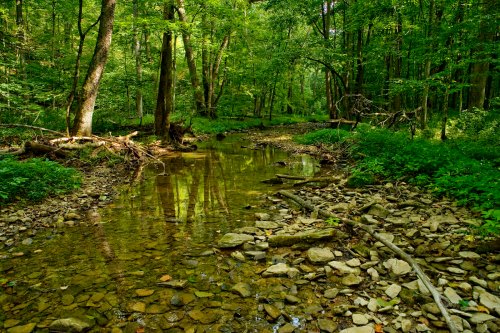 There Are Now 300 Nature Preserves In Indiana Worth Visiting