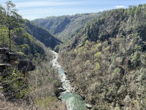 Explore North Georgia's Best Hiking Trails on a Scenic Road Trip