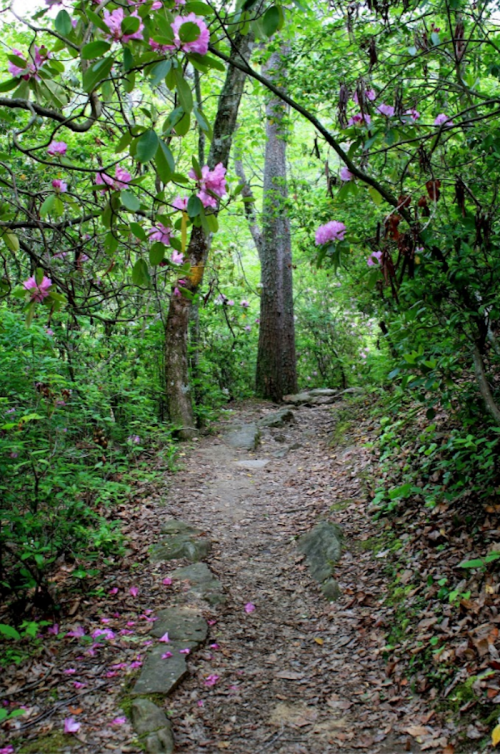 The 15 Best Things To Do In Alabama In Spring
