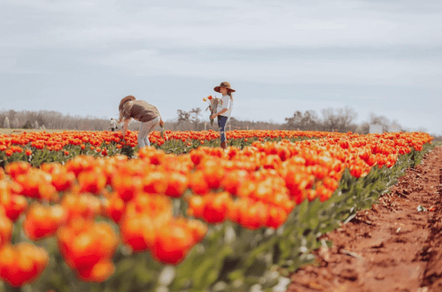 The 15 Best Things To Do In Alabama In Spring