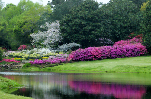 The 15 Best Things To Do In Alabama In Spring