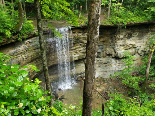 Best Waterfalls In Kentucky: 12 Local Favorites & Hidden Gems