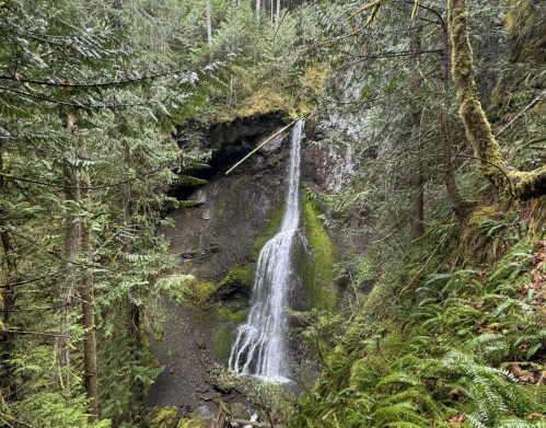 Best Waterfalls in Washington: 12 Local Favorites To Visit