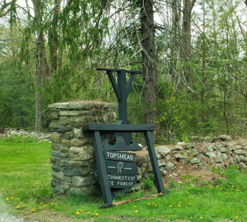 Topsmead State Forest: Great Spring Day Trip In Litchfield, CT