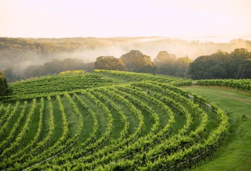 Montaluce Winery Has A Beautiful Restaurant In Dahlonega, GA