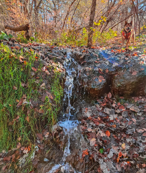 Best Waterfalls in North Dakota: 8 Local Favorites & Hidden Gems