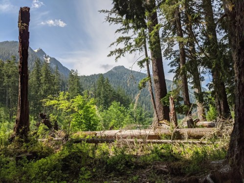 There's A Natural Wonder In Washington You've Never Heard Of