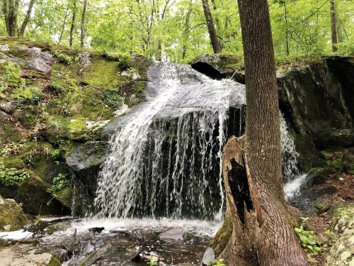 Best Waterfalls in Rhode Island: 11 Local Favorites & Hidden Gems