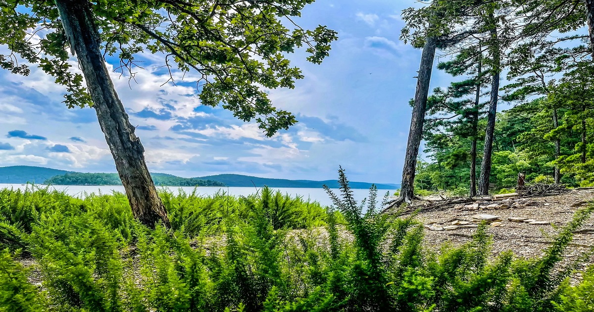 Wild Hiking Trail In Arkansas: Little Blakely South Loop, Jessieville