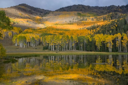 Did You Know About Utah's 6 National Forests?