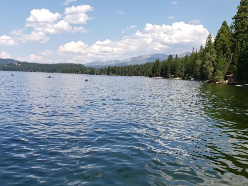Payette Lake Peninsula Trail: Spring Wildflower Trail In Idaho