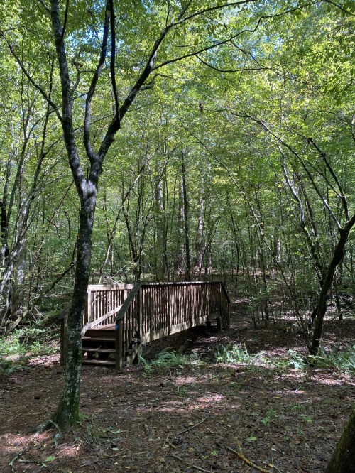 Best Hike Near Raleigh, North Carolina: Sycamore Loop Trail