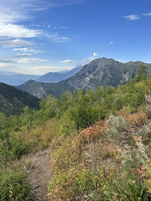 This Challenging Trail In Utah Is One Of The Best For Adventurers