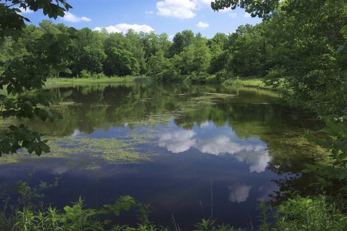 There Are Now 300 Nature Preserves In Indiana Worth Visiting